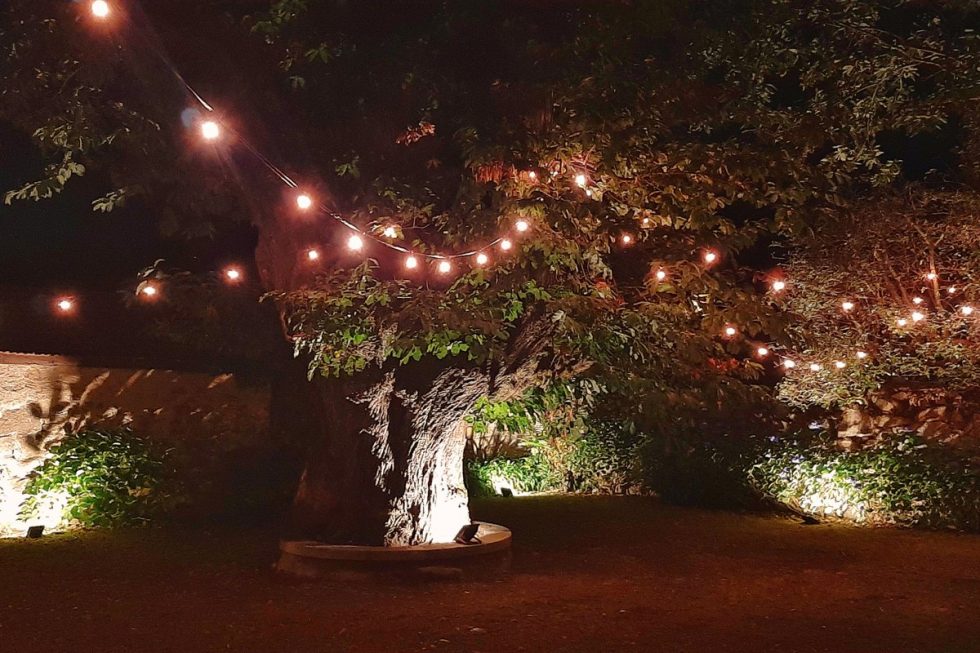 Portugal Wedding Lights | Portofesta - Animação de excelência em ...